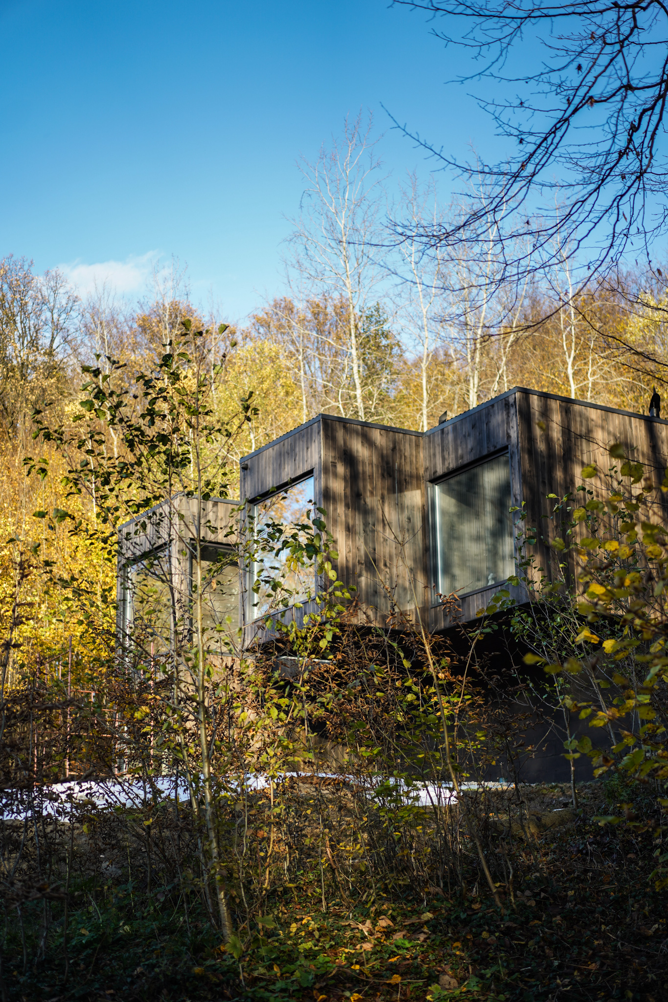 Forrest Space - luksusowy apartament